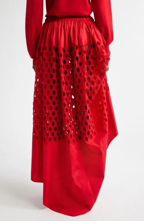 DIOTIMA Dame Asymmetric Cotton Eyelet Skirt