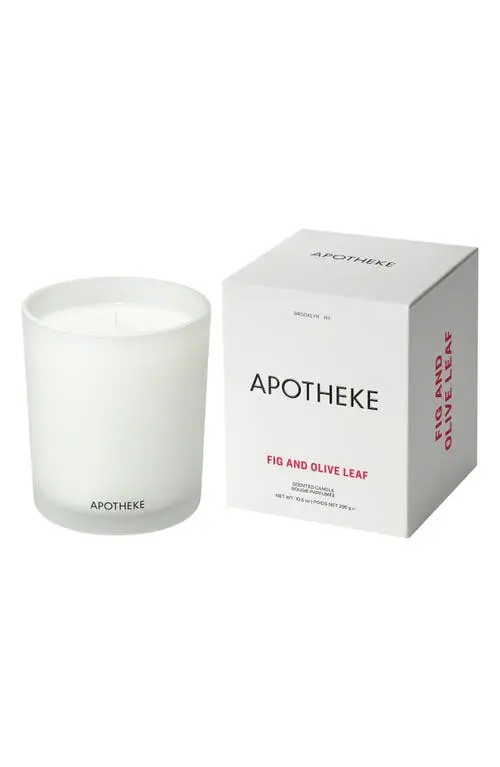 APOTHEKE Fig & Olive Leaf Classic Scented Candle - No Color