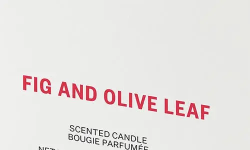 APOTHEKE Fig & Olive Leaf Classic Scented Candle