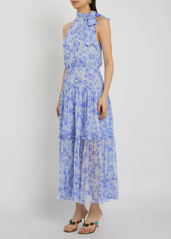 Rixo Abi Floral-print Chiffon Maxi Dress