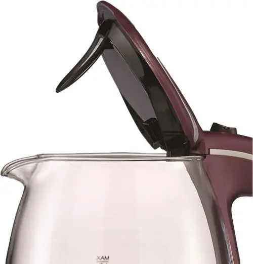 BRENTWOOD Glass Kettle
