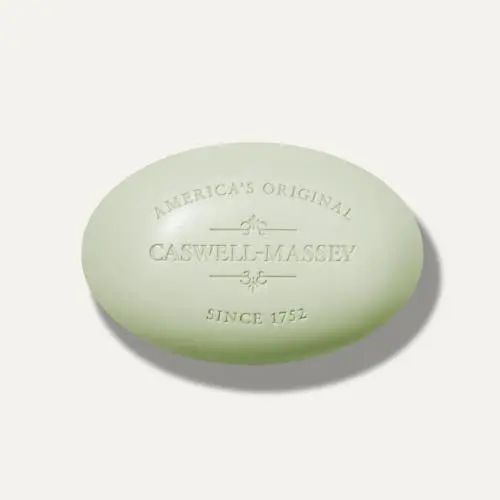 CASWELL-MASSEY Greenbriar Bar Soap - Regular