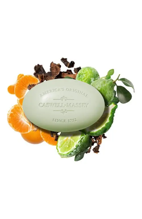 CASWELL-MASSEY Greenbriar Bar Soap