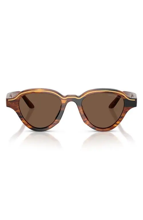 Emporio Armani Irregular Sunglasses - Shiny Striped Dark Brown