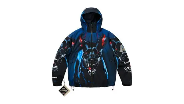 PALACE Goretex 2l Pte Jacet - K/nein Print