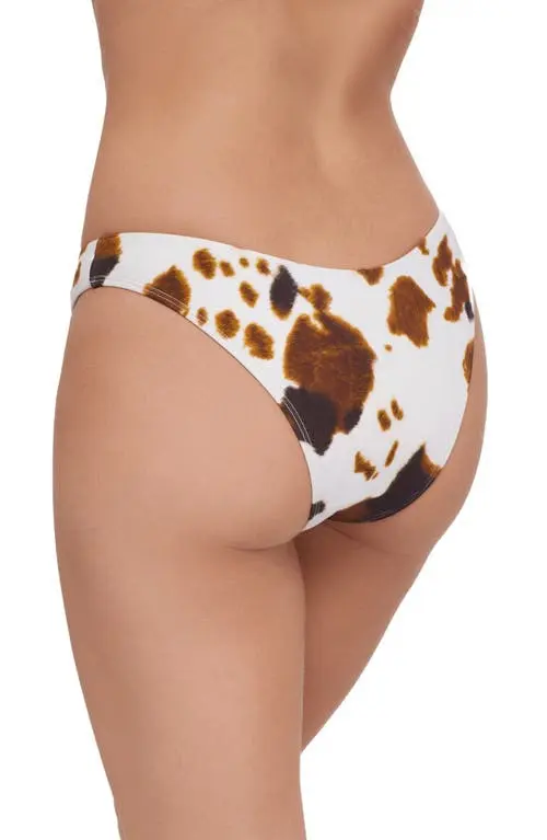 Steve Madden Scoop Front Hipster Bikini Bottoms