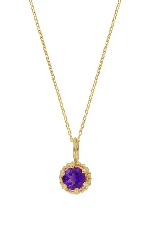 Bony Levy Pendant Necklace - 14k Yellow Gold/amethyst