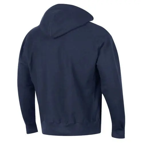 Champion Detroit Tigers Reverse Weave Chenille Hoodie