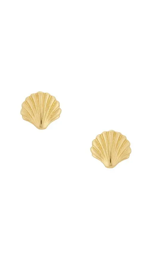 STONE AND STRAND Scallop Shell Stud Earrings - 14k Yellow Gold