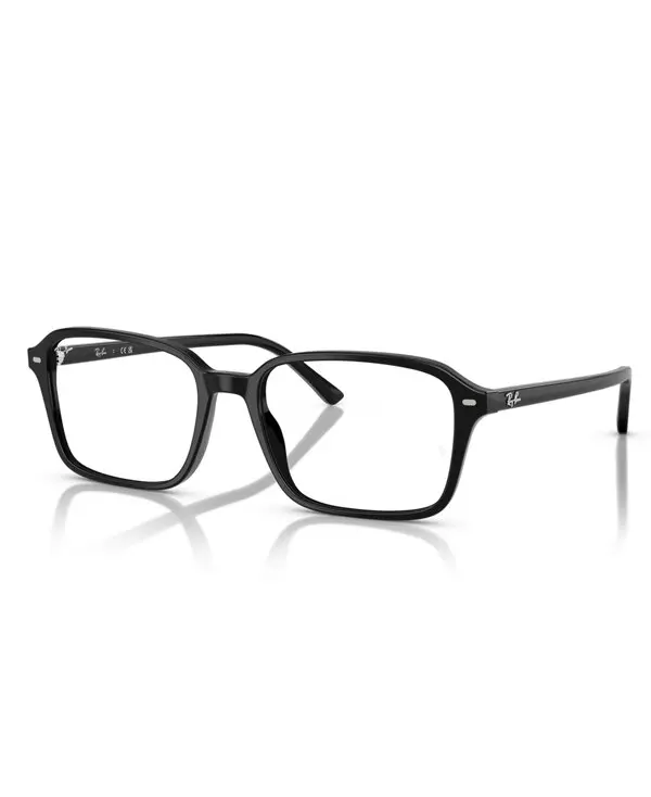 Ray-ban Raimond Optics Eyeglasses - Black