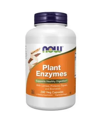 NOW FOODS Plant Enzyme 240 Vcaps - No Color