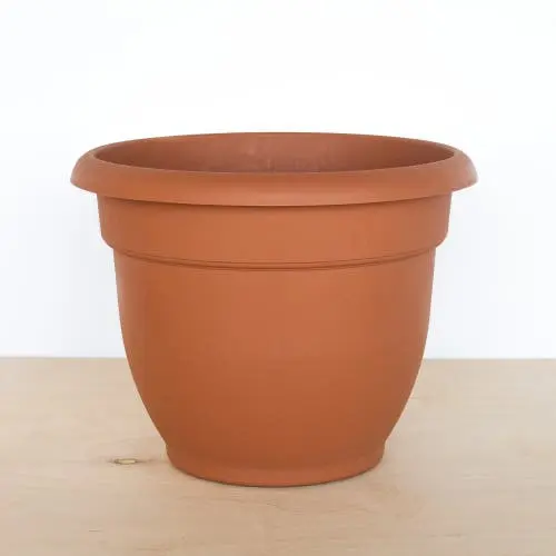 BLOEM Fiskars 12 Inch Ariana Planter With Selfwatering Grid