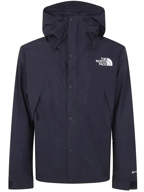 The North Face Gtx Mountain Jacket
