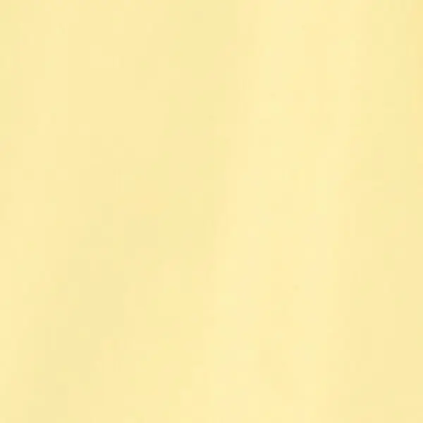 Loewe Drawstring-hem Shirt