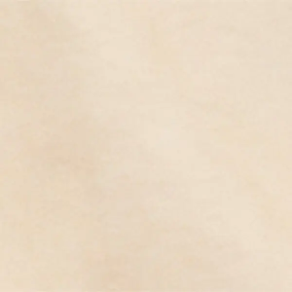 Loewe Cotton Turn-up Shorts