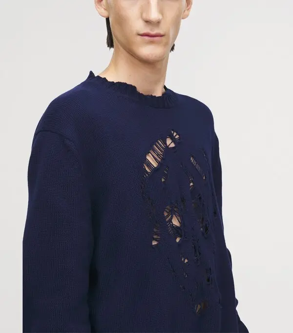 Alexander McQueen Distressed Skull Cotton Sweater