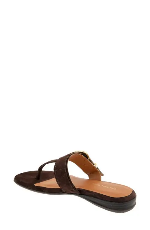 Andre Assous Nix T-strap Sandal - Pinecone