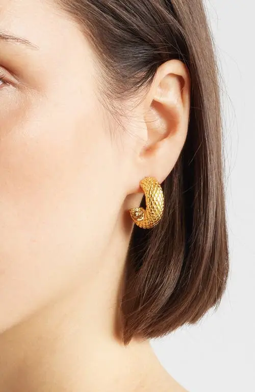 KARINE SULTAN Snakeskin Textured Hoop Earrings - Gold