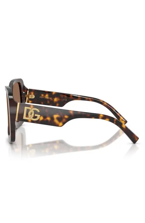 Dolce & Gabbana 55mm Square Sunglasses - Havana/dark Brown