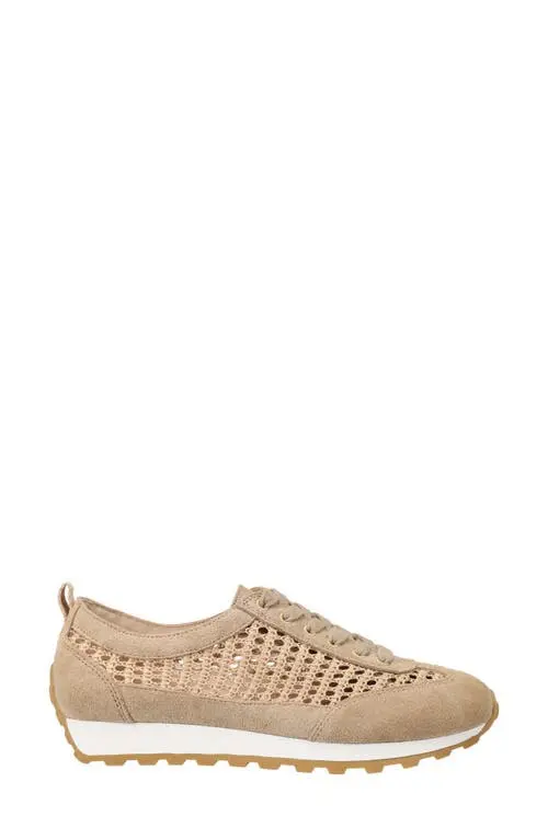 Pelle Moda Kimsy Lace-up Sneaker - Ecru