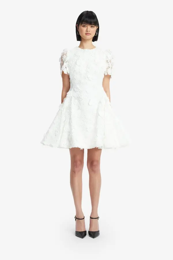 LEO LIN SHOPIFY Elyse Lace Short Sleeve Mini Dress
