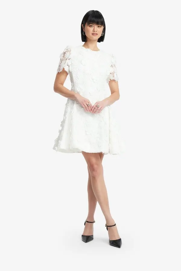 LEO LIN SHOPIFY Elyse Lace Short Sleeve Mini Dress