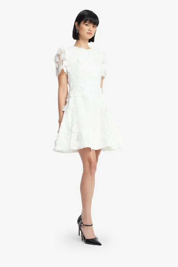 LEO LIN SHOPIFY Elyse Lace Short Sleeve Mini Dress