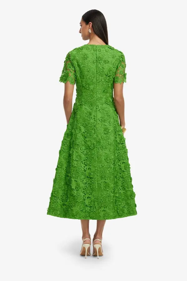 LEO LIN SHOPIFY Caroline Lace Short Sleeve Midi Dress