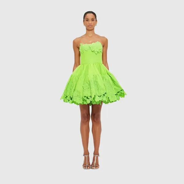 LEO LIN Skye Appliqué Bustier Mini Dress