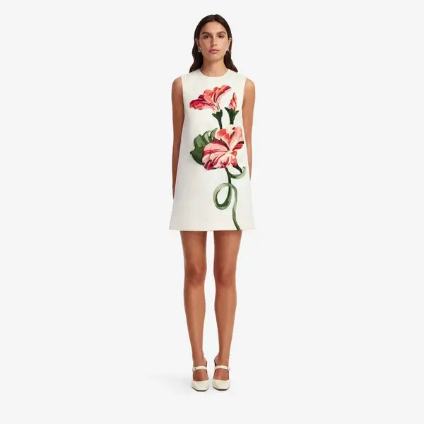 LEO LIN Yvonne Appliqué Floral Mini Dress - Vine Print In Snow