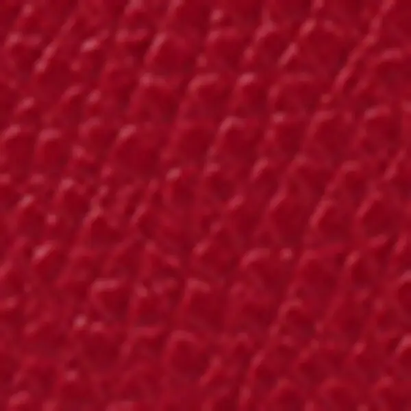 ASPINAL OF LONDON Leather Camera Crossbody Bag - Red