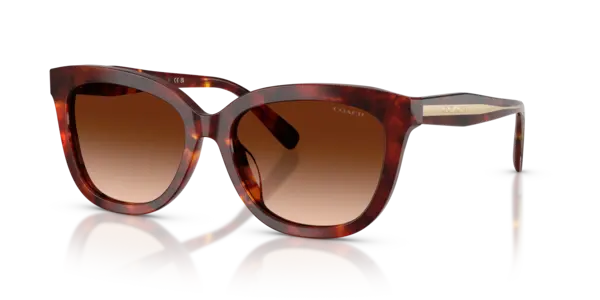 COACH Hc8453u - Walnut Tortoise