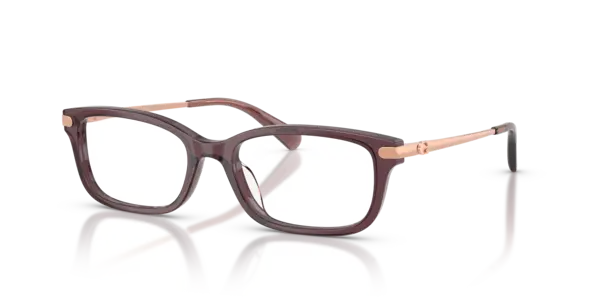 COACH Hc6287u - Transparent Iris