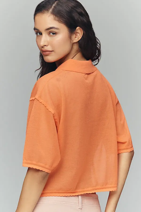 Maeve Short Sleeve Sheer Pullover - Mango