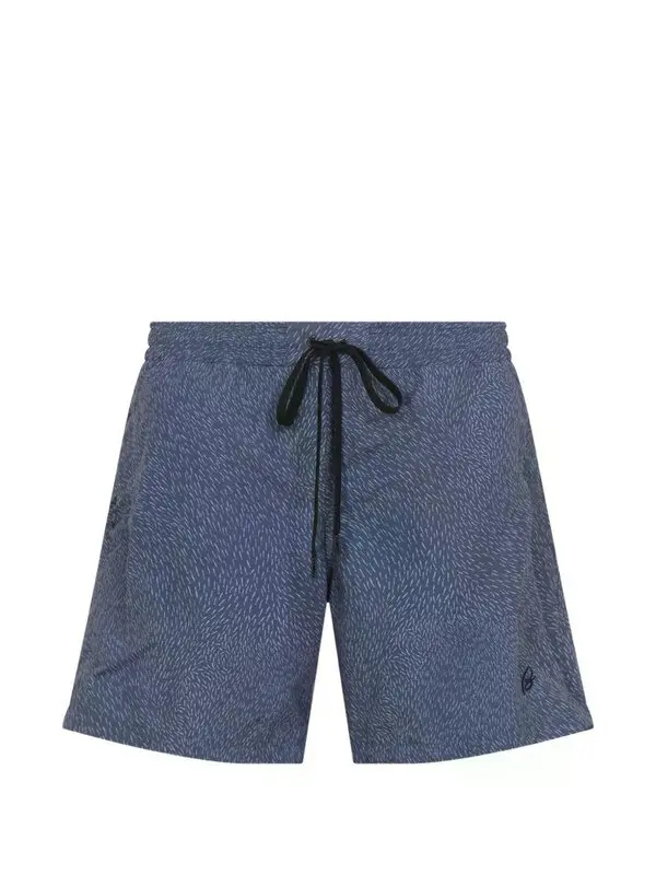 Brioni Printed Drawstring Swim Shorts - Blue