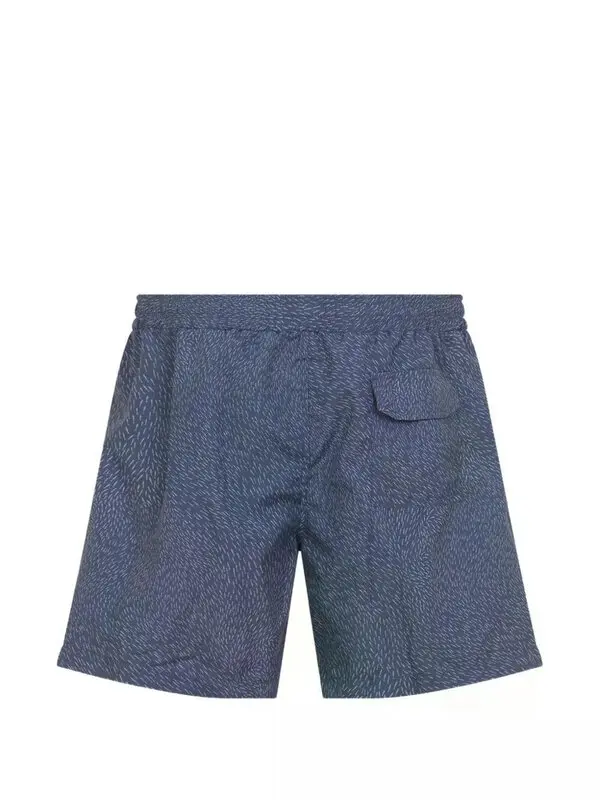 Brioni Printed Drawstring Swim Shorts
