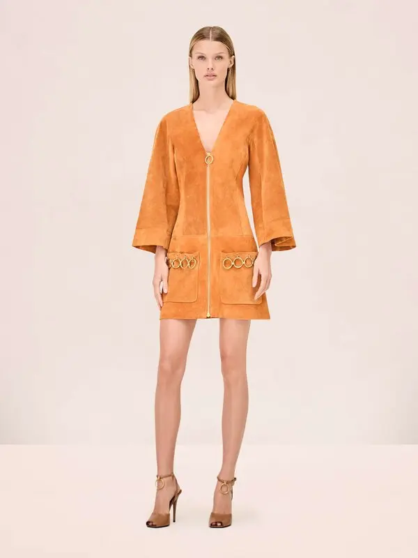 Alexis Anesa Mini Dress