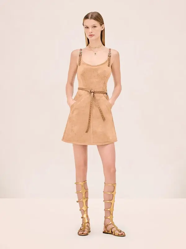 Alexis Kacen Mini Dress