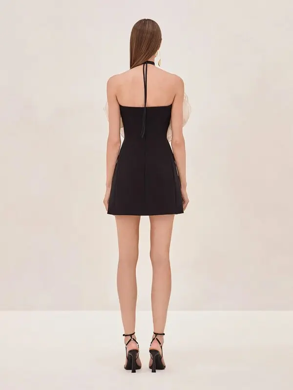 Alexis Aisha Dress With Ruffled Embellishment