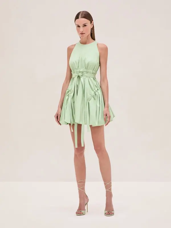 Alexis Lidiane Mini Dress