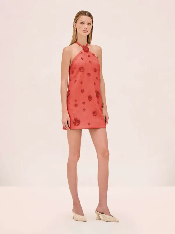 Alexis Milaa Mini Dress - Terracotta Raffia
