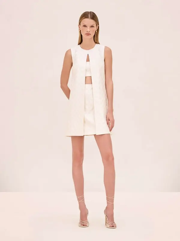Alexis Asha Mini Dress - Ivory Jacquard