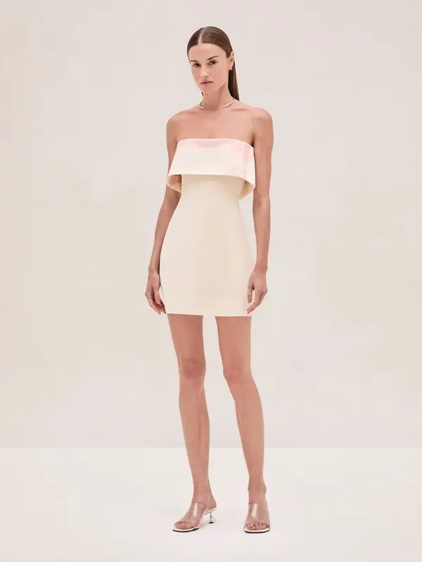 Alexis Nava Mini Dress - Pink Brushstroke
