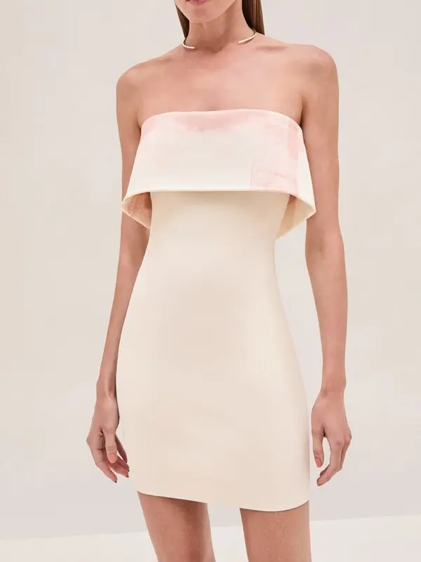 Alexis Nava Mini Dress - Pink Brushstroke