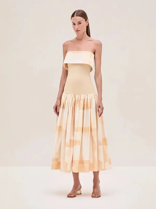 Alexis Robia Midi Dress - Beige Brushstroke