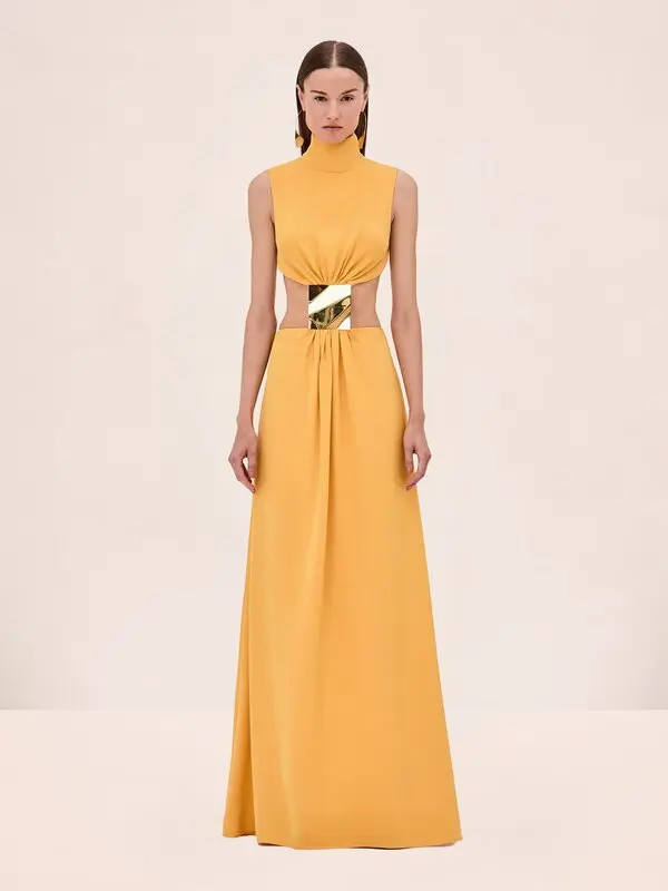 Alexis Prague Maxi Dress - Gold