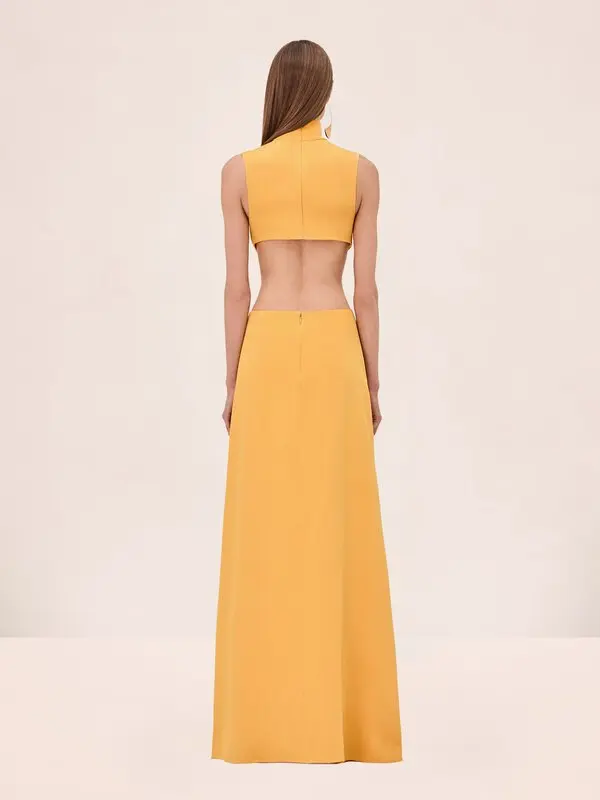 Alexis Prague Maxi Dress - Gold
