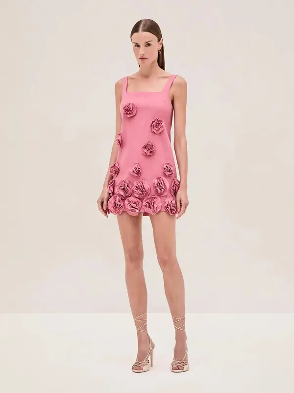 Alexis Astor Mini Dress