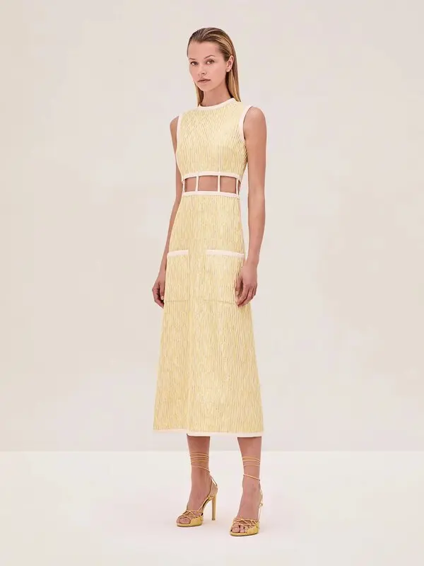 Alexis Renee Jacquard Midi Dress - Gold