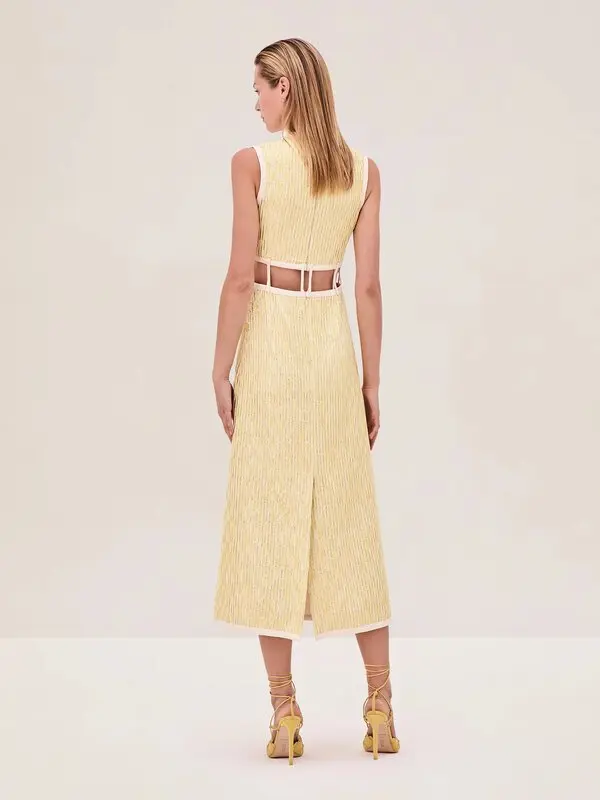 Alexis Renee Jacquard Midi Dress - Gold